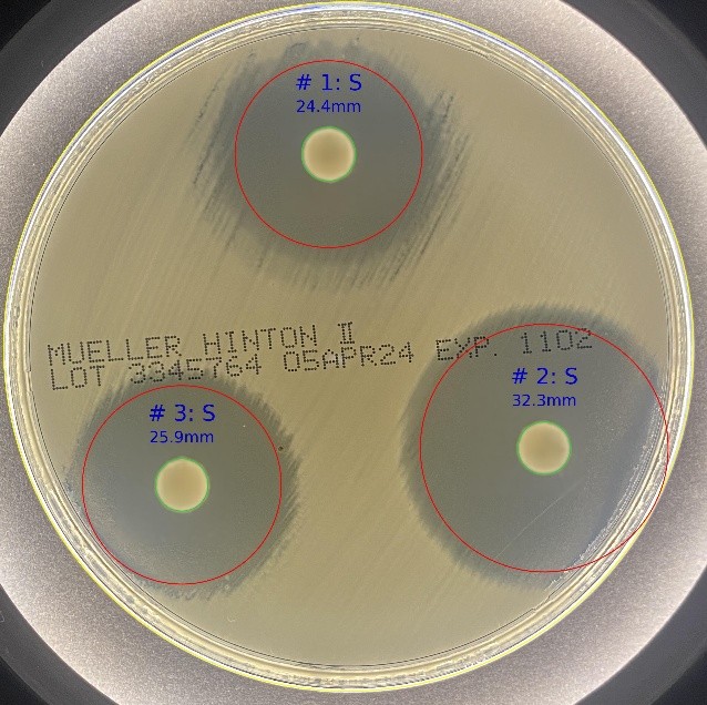 CarbGeM Launches “ZOI VET”: AI-Powered App for Antimicrobial ...